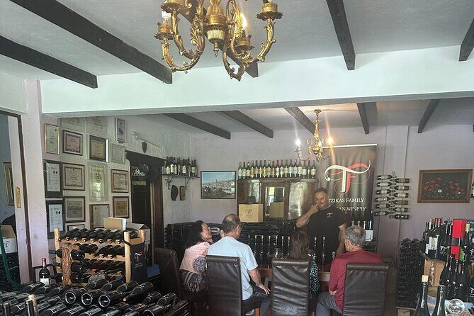 Private Day Trip to Petralona Cave and Afytos with Wine Tasting - Who Would Enjoy This Tour?