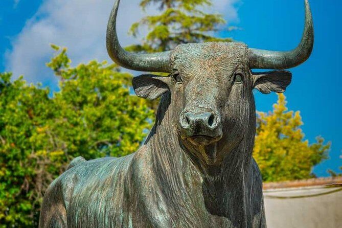 Private Day Trip to Ronda from Malaga with Driver-Guide - Authentic Experiences and Extra Tips