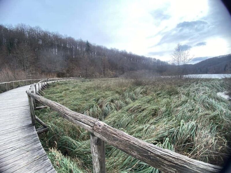 Private Day Trip Zagreb-Plitvice Lakes National Park - The Value of Private Transportation