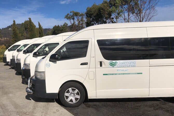 Private Day Trips Bay of Fire From Launceston 3days in advance - The Value of a Private, Customized Tour