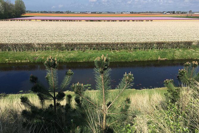 Private daytour from Amsterdam into the Countryside - Overall Impressions and Who Will Love This Tour