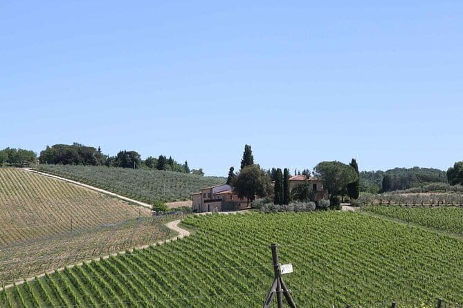 Private daytrip to Siena & Chianti wine country, with wine tasting from Florence - Why This Tour Offers Great Value