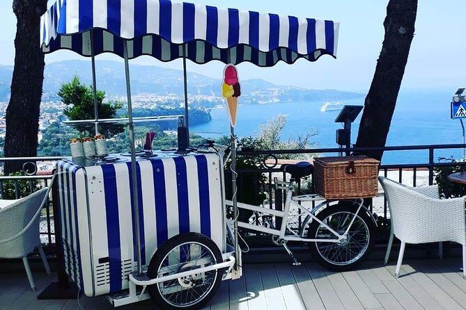 Private Deluxe Day tour from naples to Sorrento & Amalfi coast - Pros and Cons Based on Reviews and Features