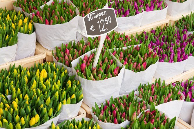 Private departure transfer from Amsterdam to Schiphol Airport (AMS) - Practical Details