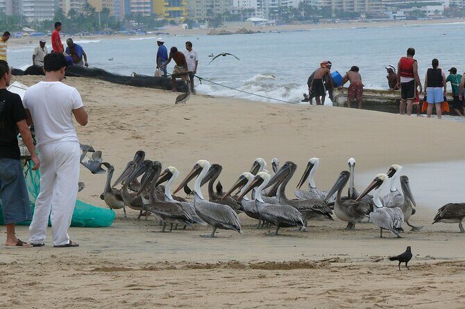 Private Direct Transfer From Mexico City to Acapulco - FAQs