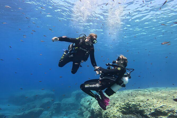 Private Discover Scuba Diving Experience in Messinia - Key Points