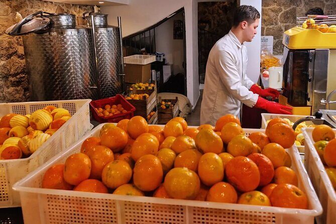 Private Distillery Day Tour - Key Points