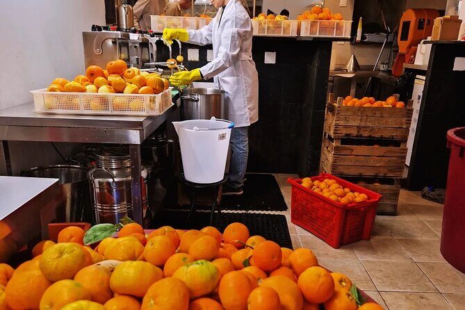 Private Distillery Day Tour - Why This Tour Works Well