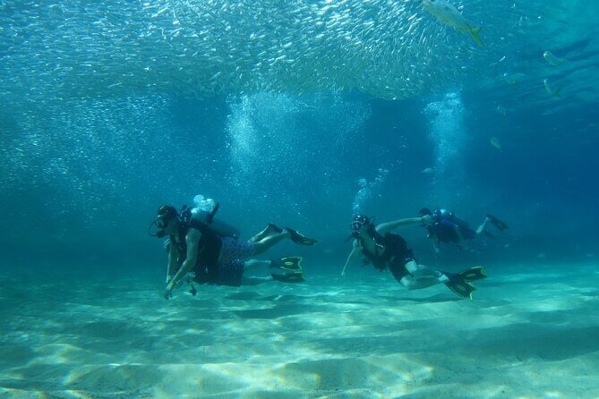 Private Dive Boat for Certified Divers - Cabo San Lucas - The Itinerary: A Closer Look