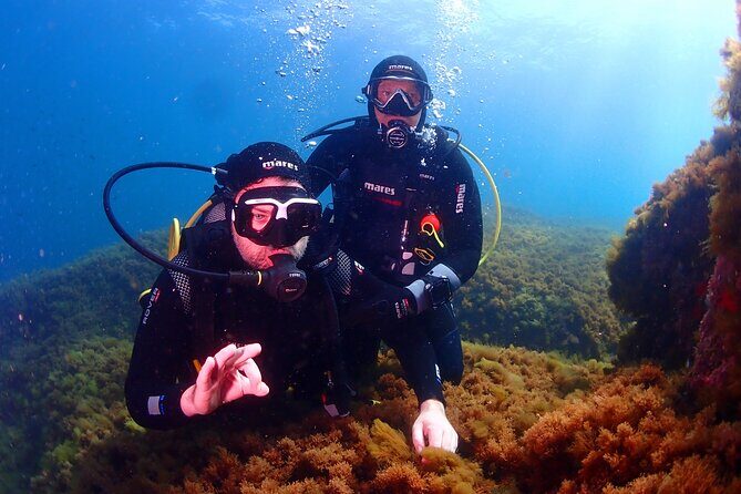 Private diving baptism in the Golf of Calvi - Exploring the Private Diving Baptism in the Gulf of Calvi: A Truly Memorable Introduction to Underwater Adventure