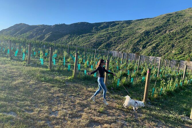 Private Dog Friendly Wine Tour with your Local Guide - Discover the Best of Waiheke Island with a Private Dog-Friendly Wine Tour