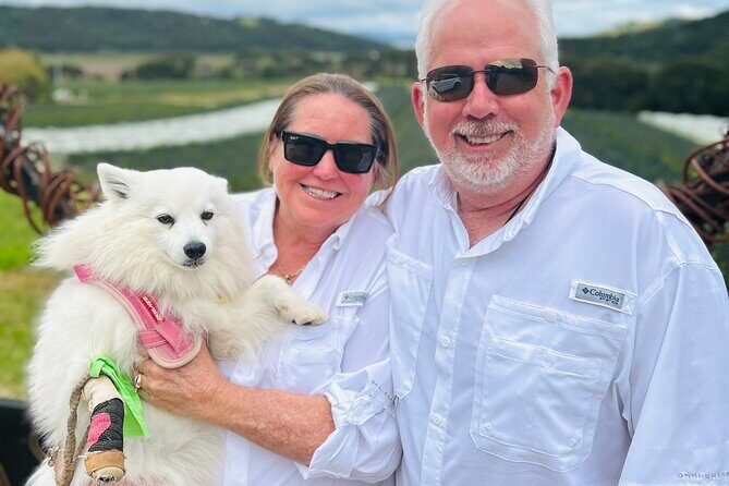 Private Dog Friendly Wine Tour with your Local Guide - Who Is This Tour Best For?