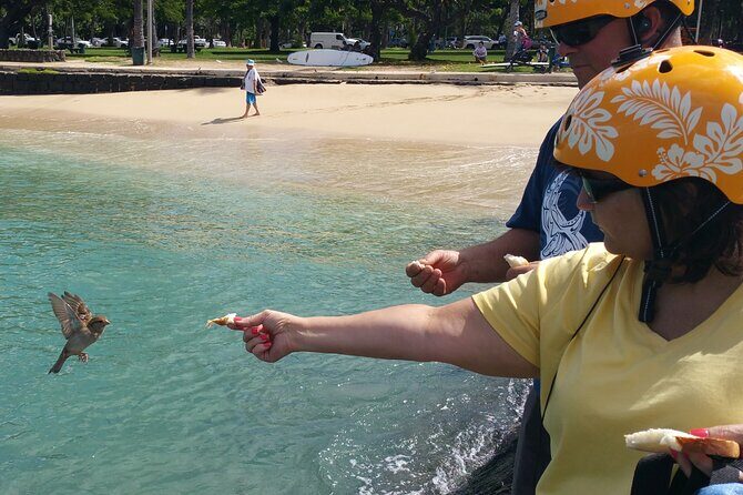 Private Dole,Garlic Shrimp, N.Shore, Haleiwa, Customizable tour - The Sum Up