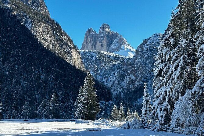 Private Dolomites Winter Day Tour from Venice - A Deep Dive into the Experience