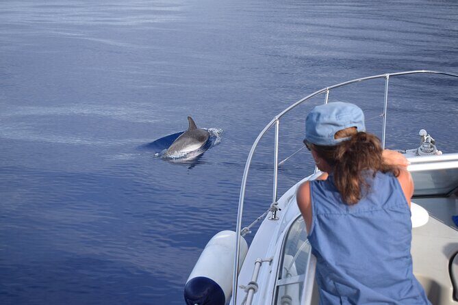 Private Dolphin and Whale Watching Tour in Madeira - FAQ