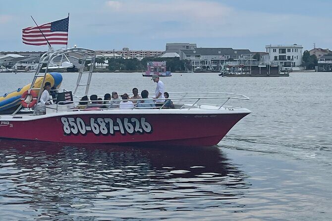 Private Dolphin Cruise - An In-Depth Look at the Private Dolphin Cruise in Destin