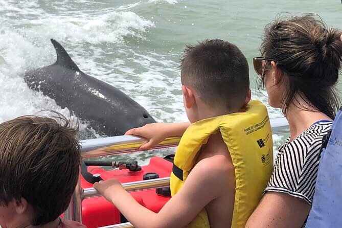 Private Dolphin, Shelling and Birding Tour - Key Points