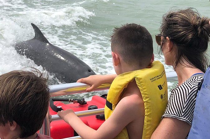 Private Dolphin, Shelling and Birding Tour - FAQ