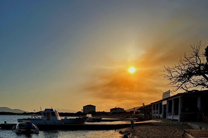 Private Dolphin Sighting Tour with Aperitif - Sardinia’s Hidden Treasure: A Review of the Private Dolphin Sighting Tour with Aperitif