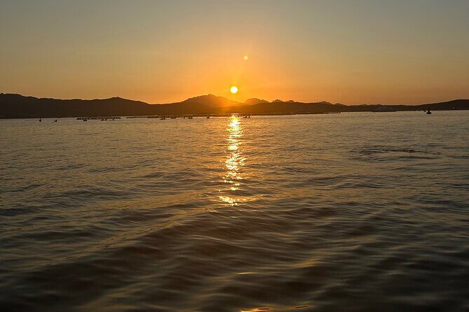 Private Dolphin Sighting Tour with Aperitif - The Real Deal: Reviews and What They Reveal