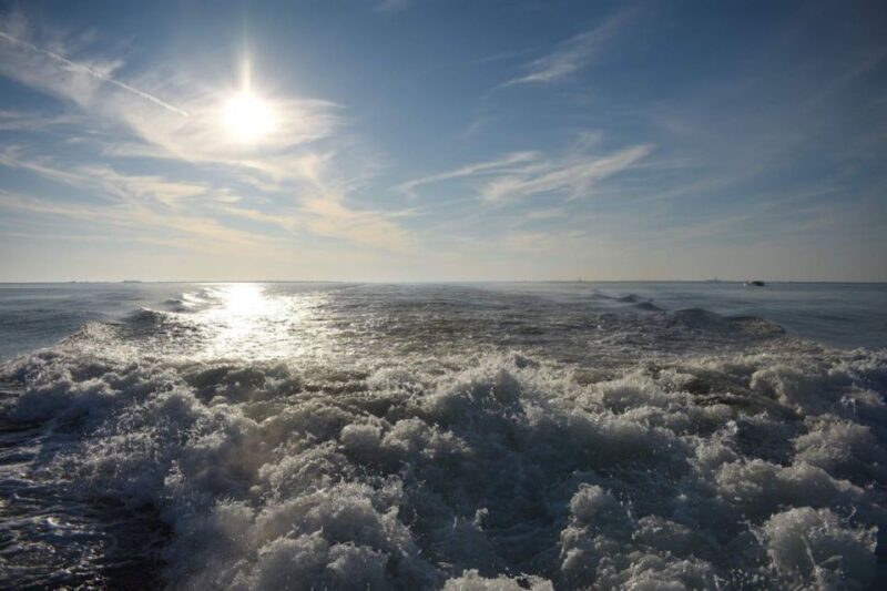 Private Dolphin Tour with Secluded Beach/Snorkel Stop - Key Points