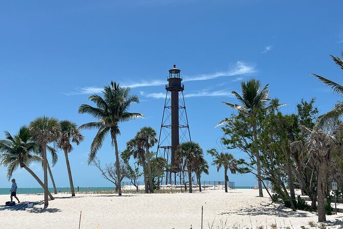 Private Dolphin Watching Beach Day Getaway - Final Thoughts: Why You Should Consider This Tour