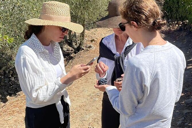 Private Douro 4x4 Adventure from Porto with Deluxe Pic nic - Final Thoughts