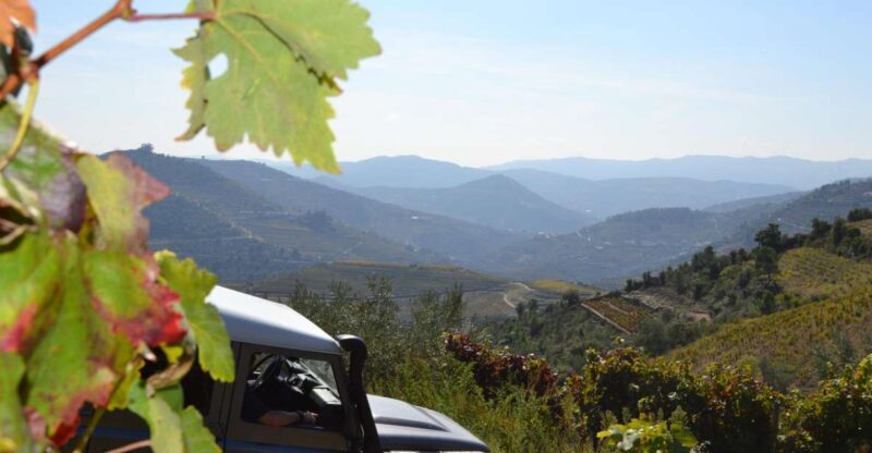 Private Douro Valley 4WD Tour with Wine Tasting and Picnic - An In-Depth Look at the Private Douro Valley 4WD Tour