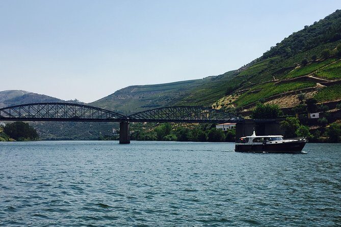 Private Douro Valley Food and Wine Tour From Porto - Who Should Consider This Tour?