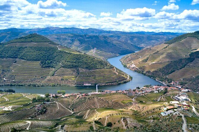 Private Douro Valley Tour: Boutique Winery & River Cruise - In-Depth Breakdown of the Itinerary