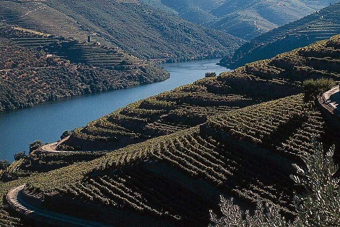 Private Douro Valley Tour Includes Wine Tasting and Boat Tour - Exploring the Itinerary