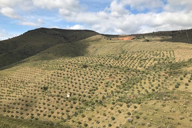 Private Douro Valley Tour Includes Wine Tasting and Boat Tour - Final Thoughts: Who Is This Tour For?
