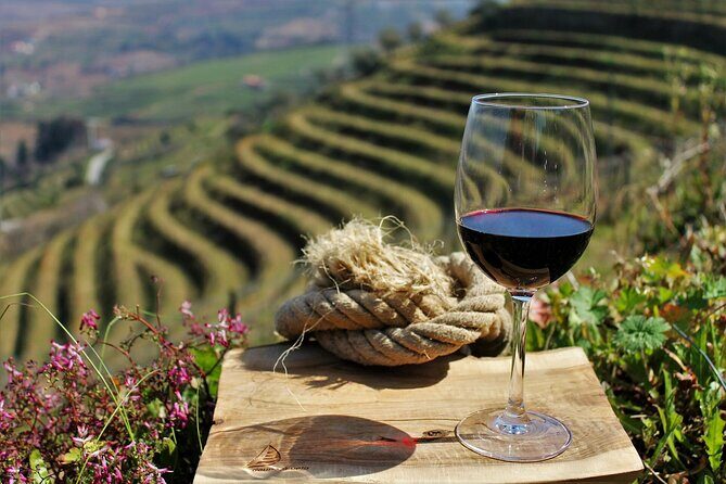 Private Douro Valley Tour Including 3 Wineries - Key Points