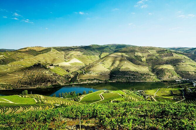 Private Douro Valley Tour Including 3 Wineries - Who’s This Tour Best For?