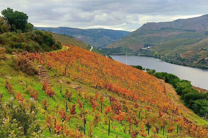 Private Douro Valley UNESCO Wine Tour from Porto with Lunch - Potential Drawbacks & Considerations
