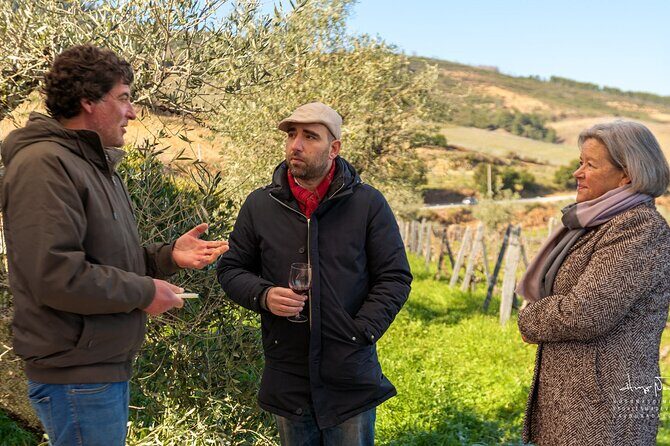 Private Douro Valley UNESCO Wine Tour from Porto with Lunch - Who Is This Tour Best For?
