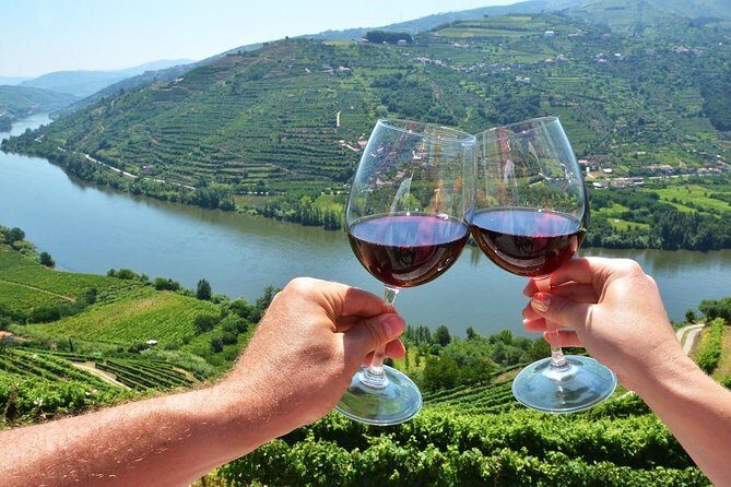 Private Douro Valley Wine Tour: 2 Wine Estates, Lunch and Cruise - Final Thoughts