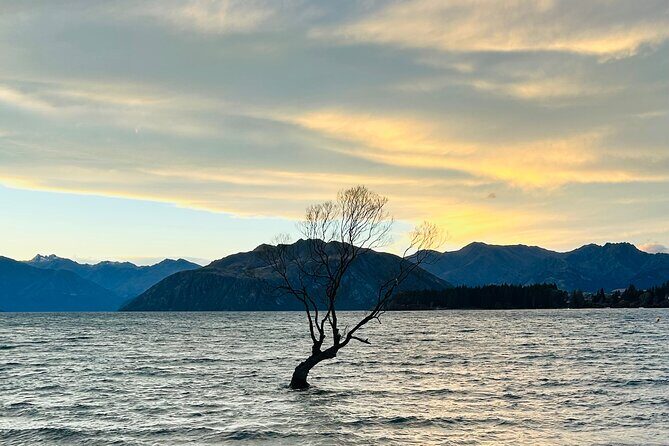 Private Driver Hire Full-Day Touring-Auckland/Rotorua/Hamilton - Key Points