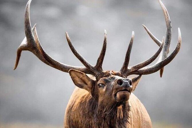 Private Driving Tour of the Rocky Mountain National Park - Into Rocky Mountain National Park  