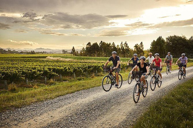 Private Driving Wine Tour (full day) in the Marlborough Region - Authenticity and Local Flavor