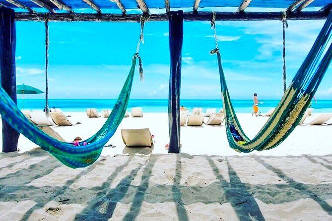 Private Dune Buggy & Snorkel Tour: All-Inclusive - Price & Value Analysis