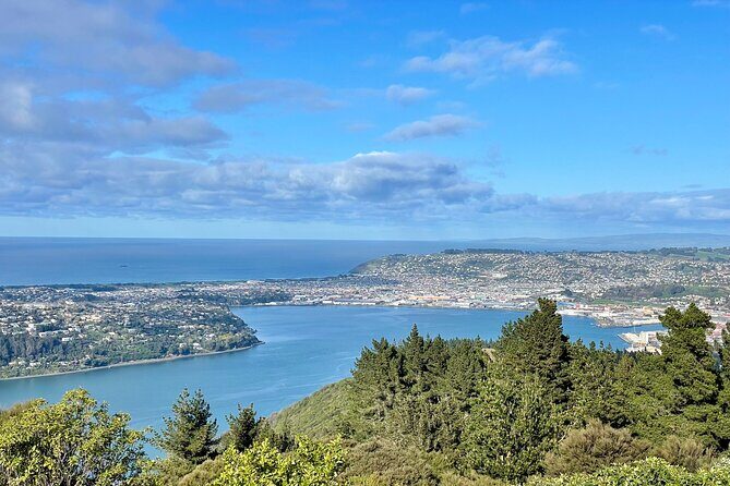Private Dunedin & Otago Peninsula Day Tour Up to 4 - Key Points