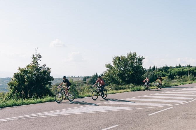 Private E-bike Tour in Chianti from Florence - Final Thoughts