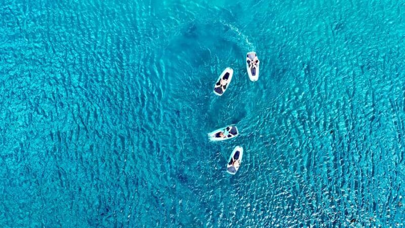 Private E-Board Tour of Moorea Lagoon - Key Points