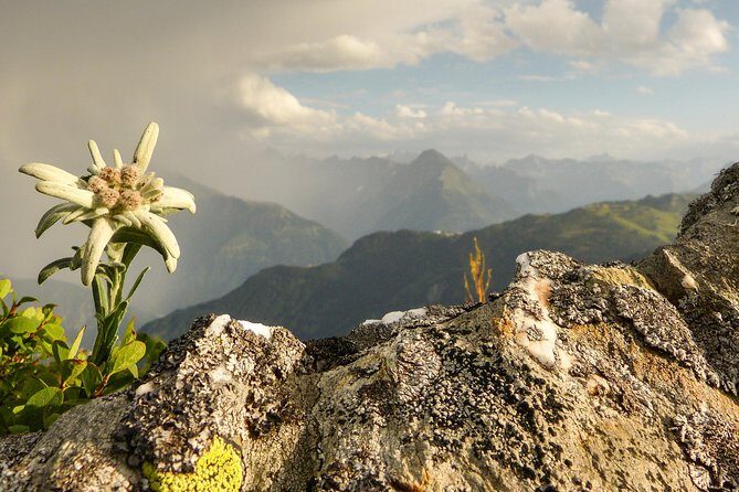 Private Eagle's Nest & The Hills are Alive - FAQ