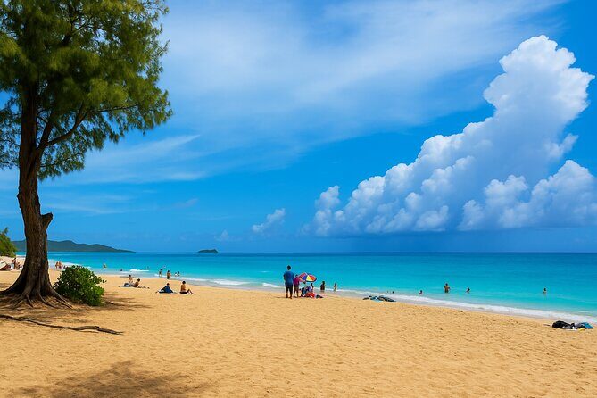 Private East Oahu Highlights Tour Byodo In Temple & Pali Lookout - Transportation and Overall Experience