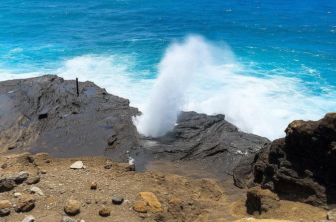 Private East Oahu Highlights Tour Byodo In Temple & Pali Lookout - The Considers: Who Will Love It?