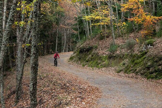Private Ebike Tour through Serra da Estrela - Practical Details & What You Need to Know