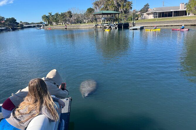 Private Eco Tour in Kings Bay Crystal River Florida - Final Thoughts
