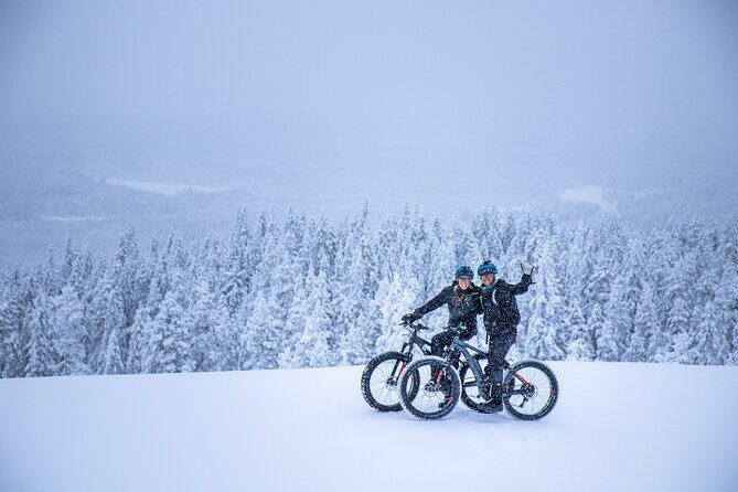 Private Electric Fat Bike Winter Tour in Rovaniemi - Key Points